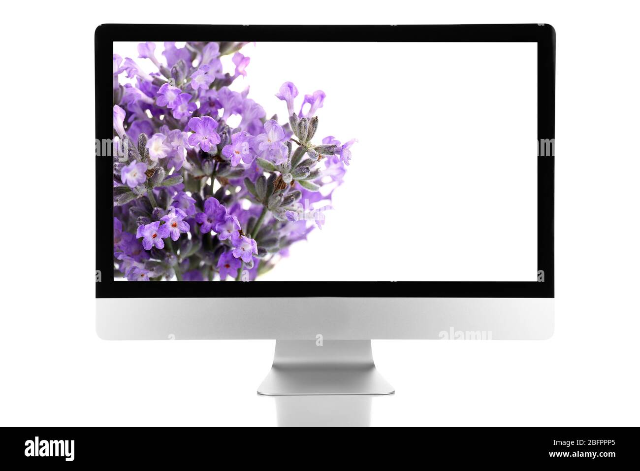 Modern computer display with beautiful flowers on screen, white ...