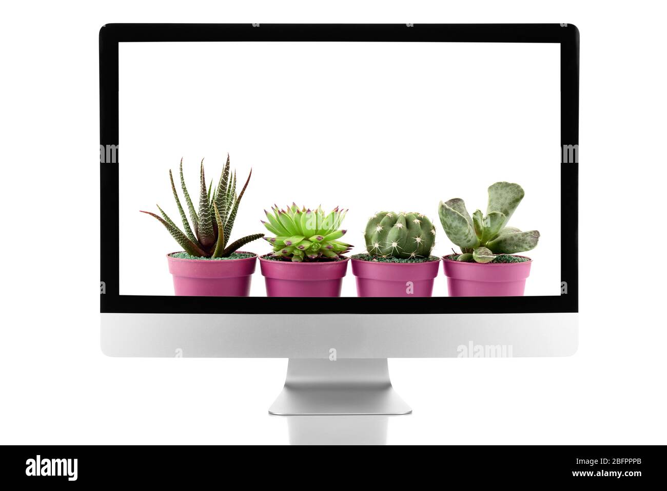 Modern computer display with houseplants on screen, white background ...