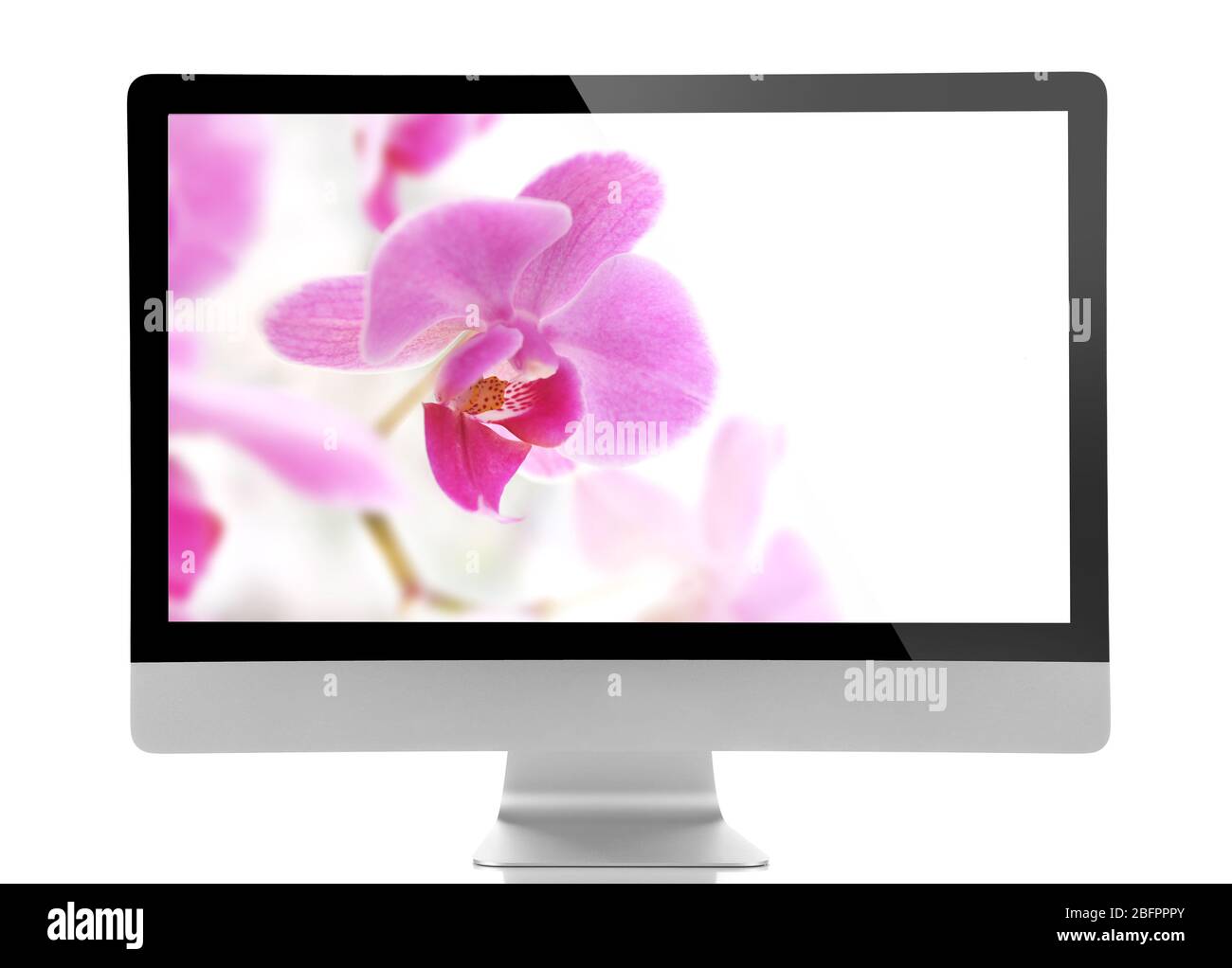 Modern computer display with beautiful flower on screen, white ...