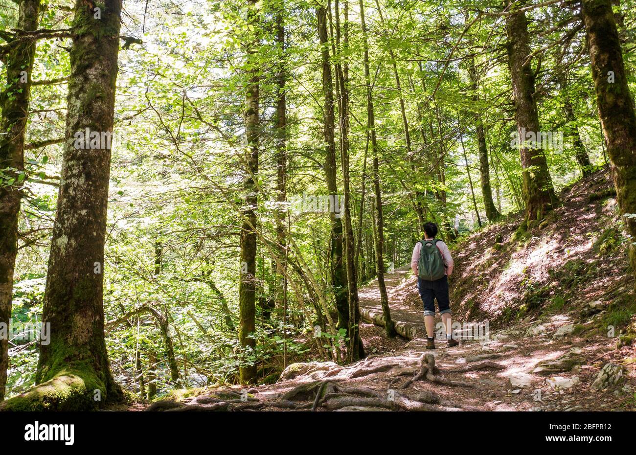 Valle de Irati. Navarra. España Stock Photo - Alamy
