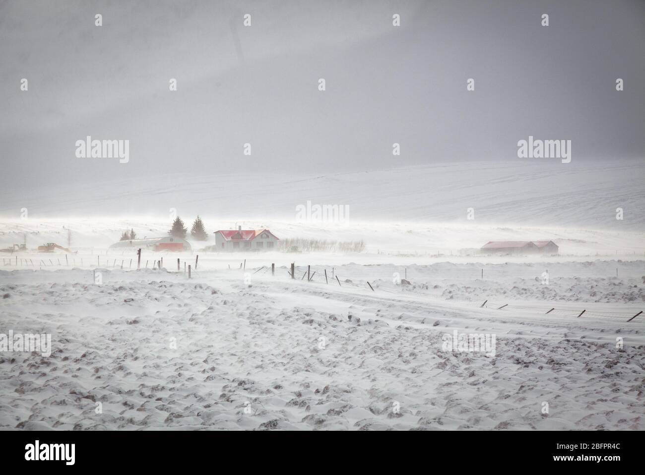 The wind blowing snow across a field near a small village on a windy ...