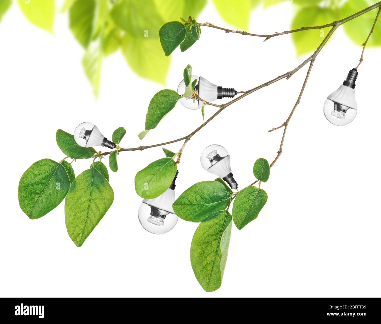 Light bulbs growing on tree branches against white background. Concept ...