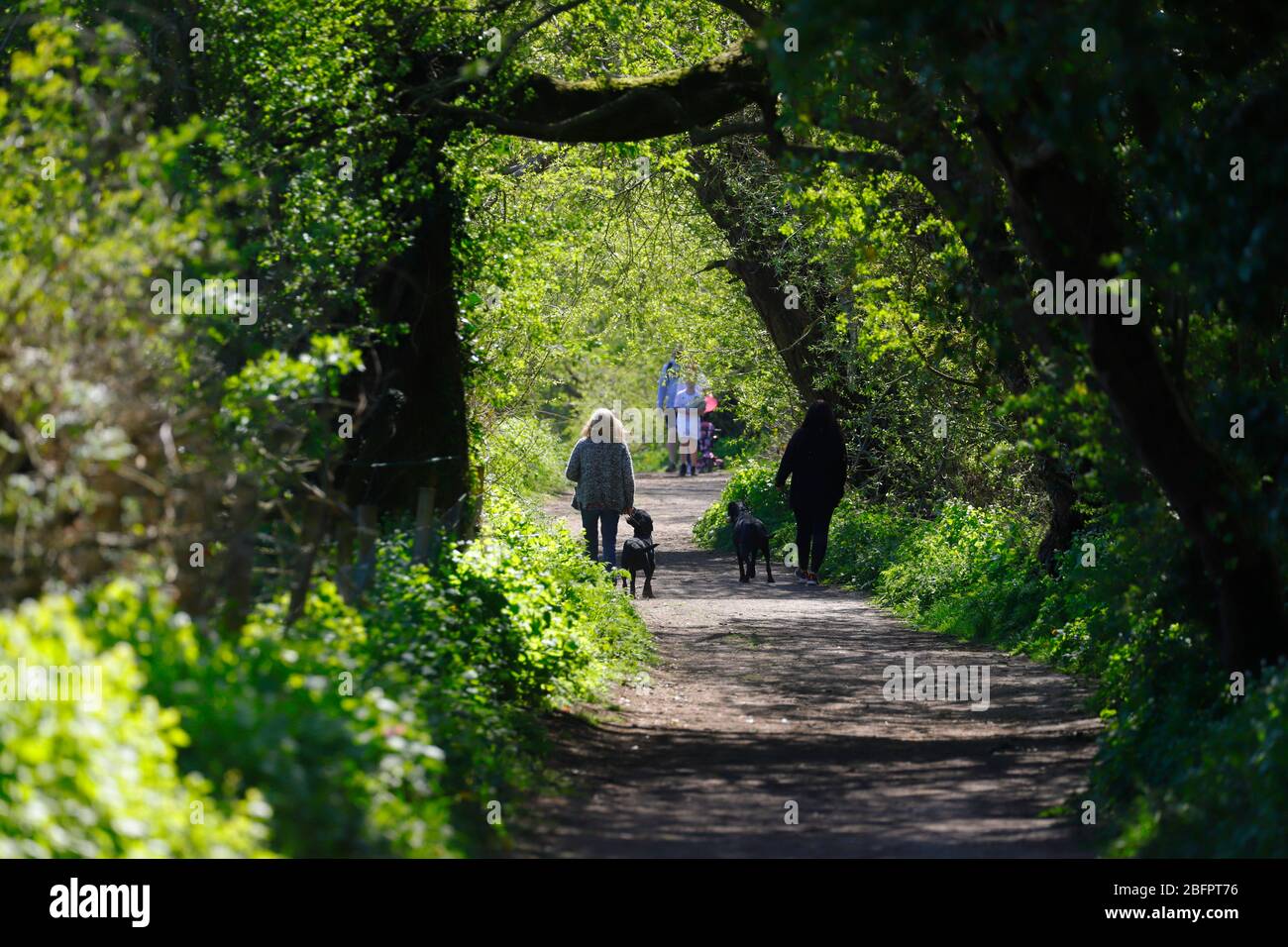 The Bridle Path High Resolution Stock Photography and Images - Alamy
