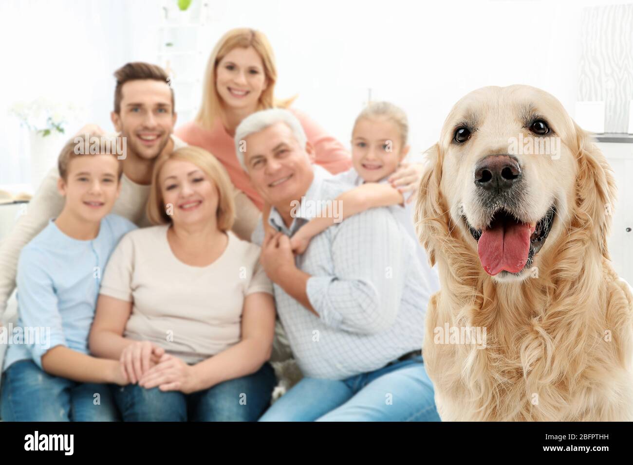 Dog and happy family on background Stock Photo - Alamy