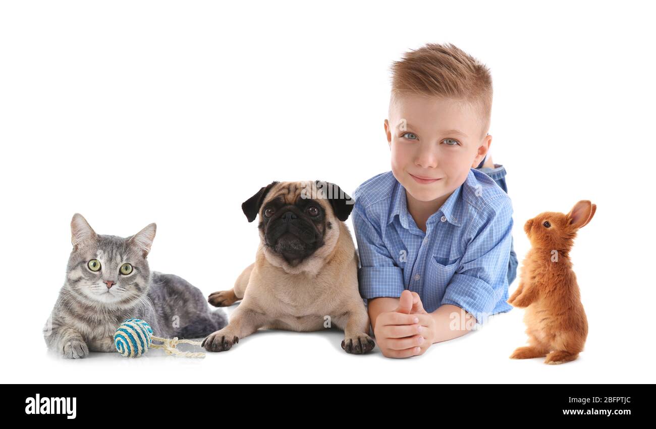 Little boy with cute pets on white background Stock Photo - Alamy