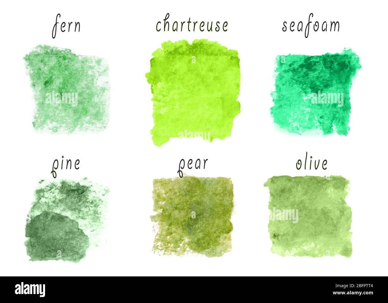 Samples of green color palette on white background Stock Photo - Alamy