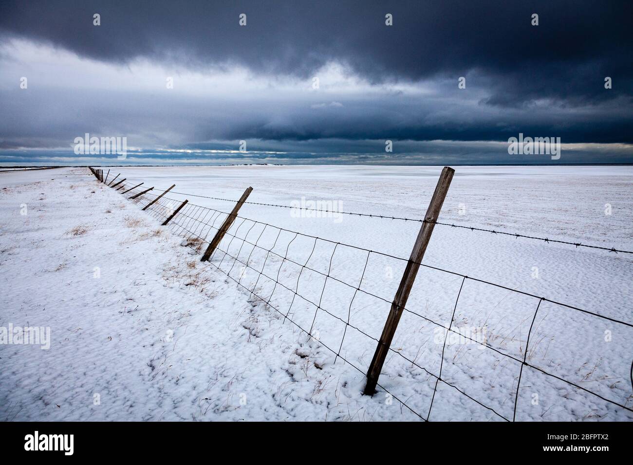 A fence blown over by the wind in a snowy field in winter on the ...