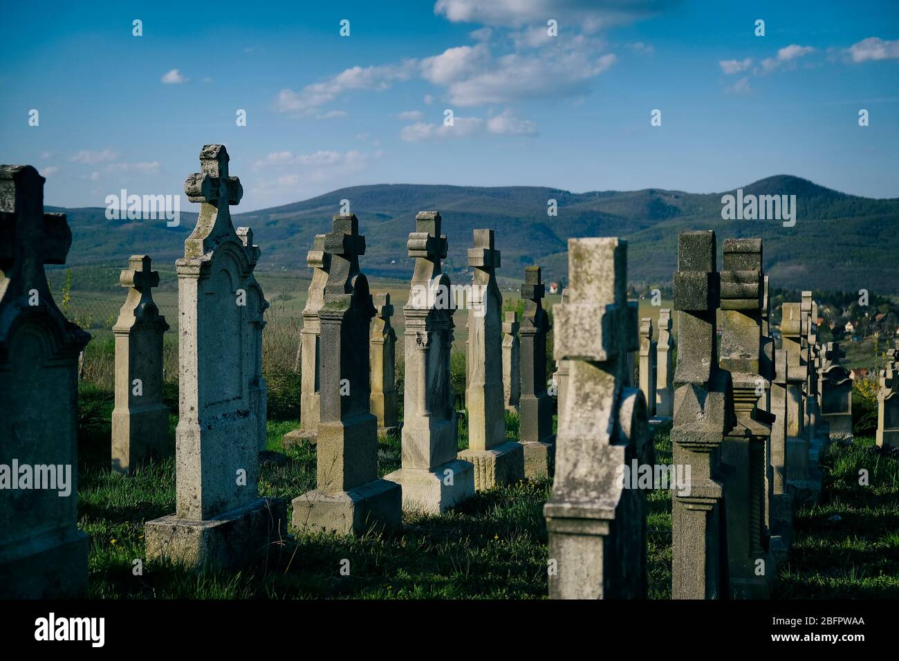 Silhouette death tree and cemetery Stock Photo - Alamy