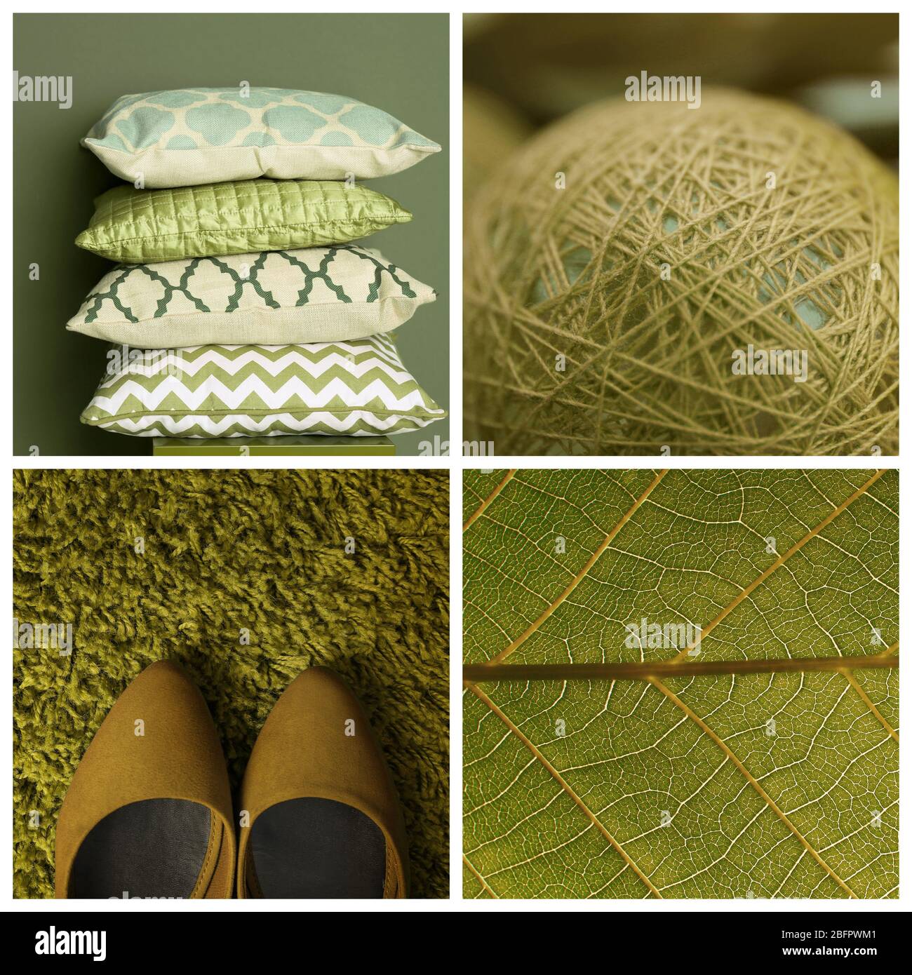 Stylish collage green color Cut Out Stock Images & Pictures - Alamy