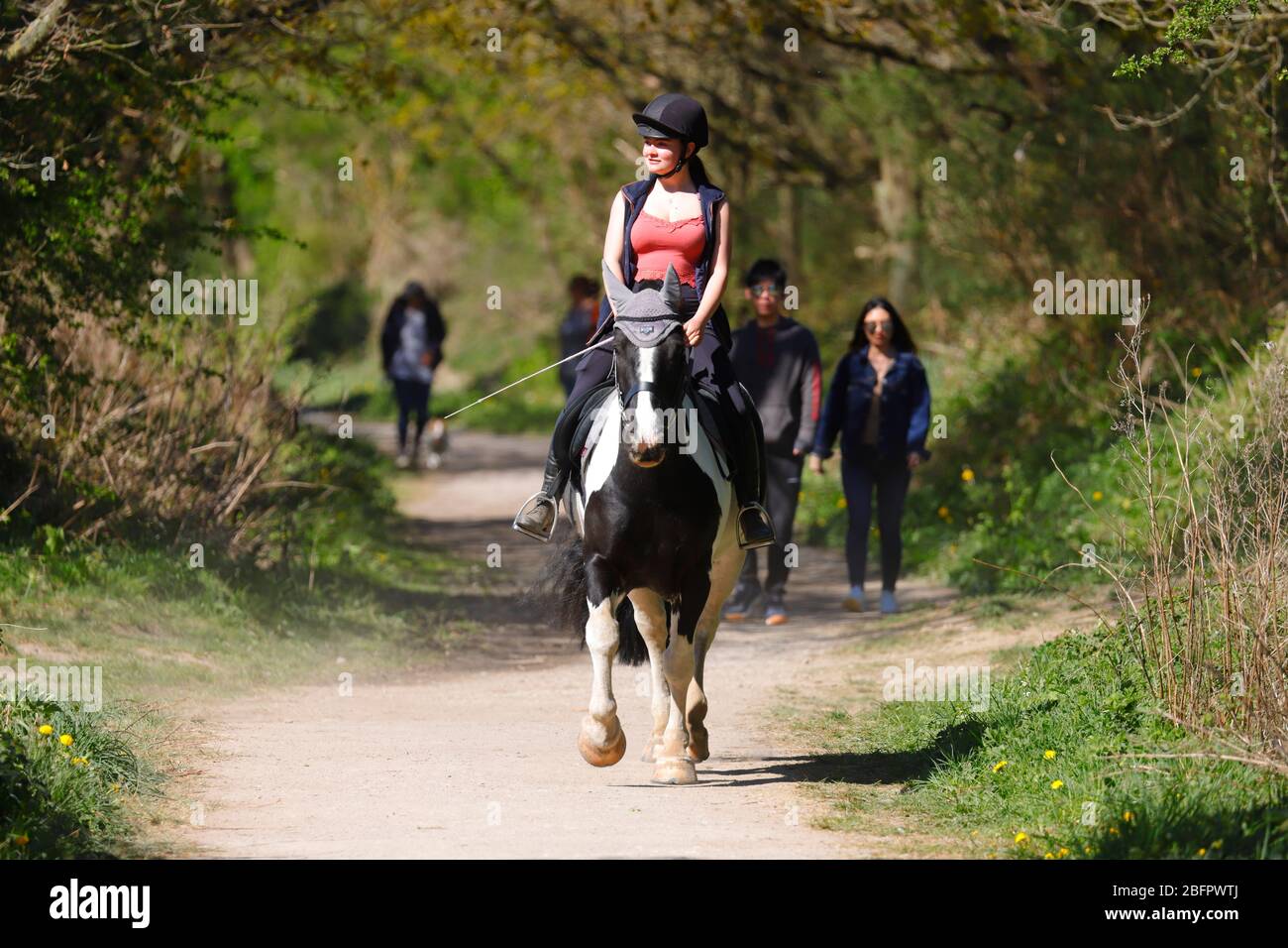 A lady takes her horse for a walk along the lines in Kippax which is a ...