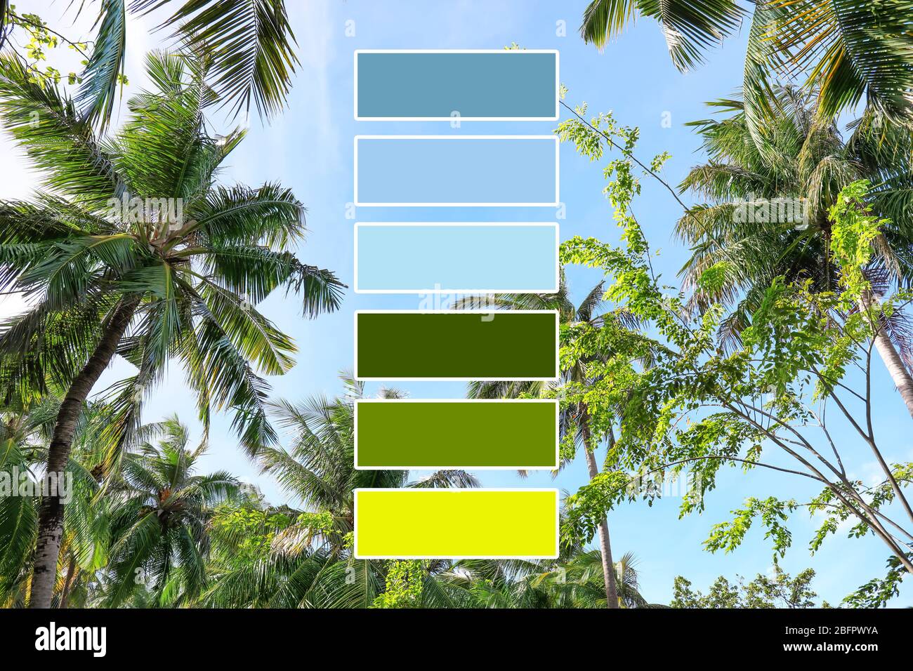 Beautiful tropical palms on blue sky background. Palette with green ...