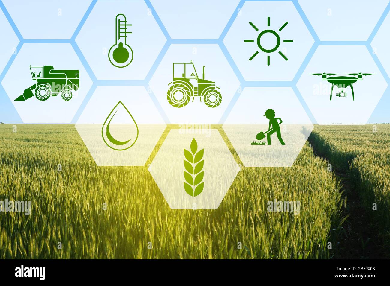 Agriculture background hi-res stock photography and images - Alamy