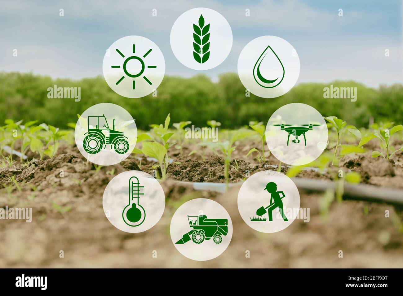Icons and field on background. Concept of smart agriculture and modern ...