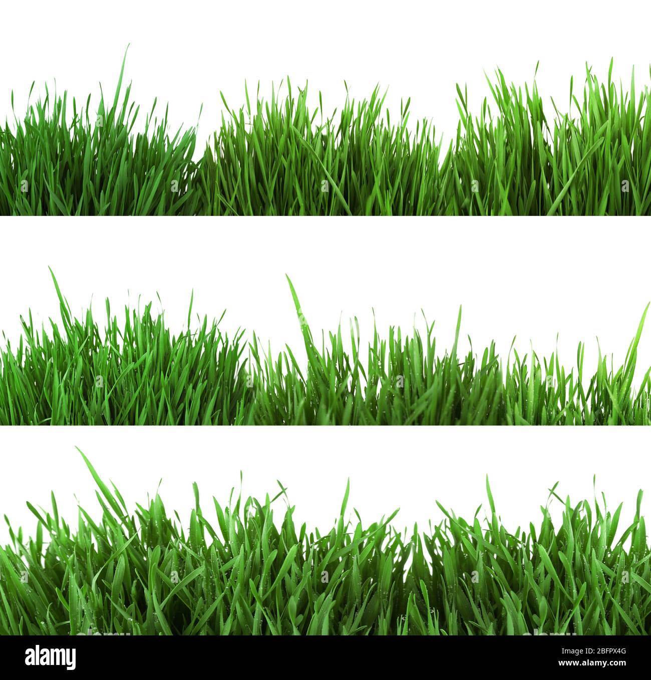 Collage of green grass on white background Stock Photo - Alamy