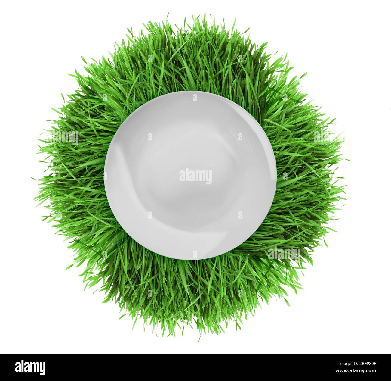 Wheat grass around plate on white background Stock Photo - Alamy