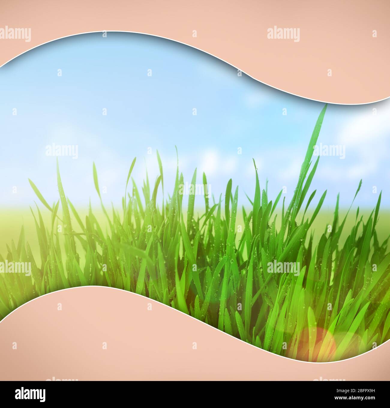 Collage of frame and green grass Stock Photo - Alamy