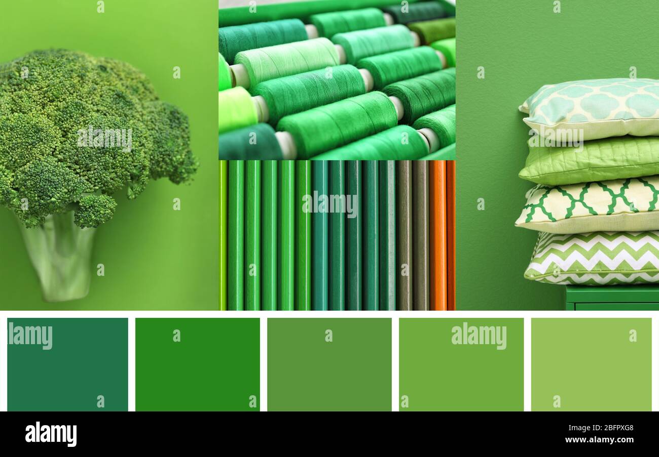 Stylish collage with green color palette Stock Photo - Alamy