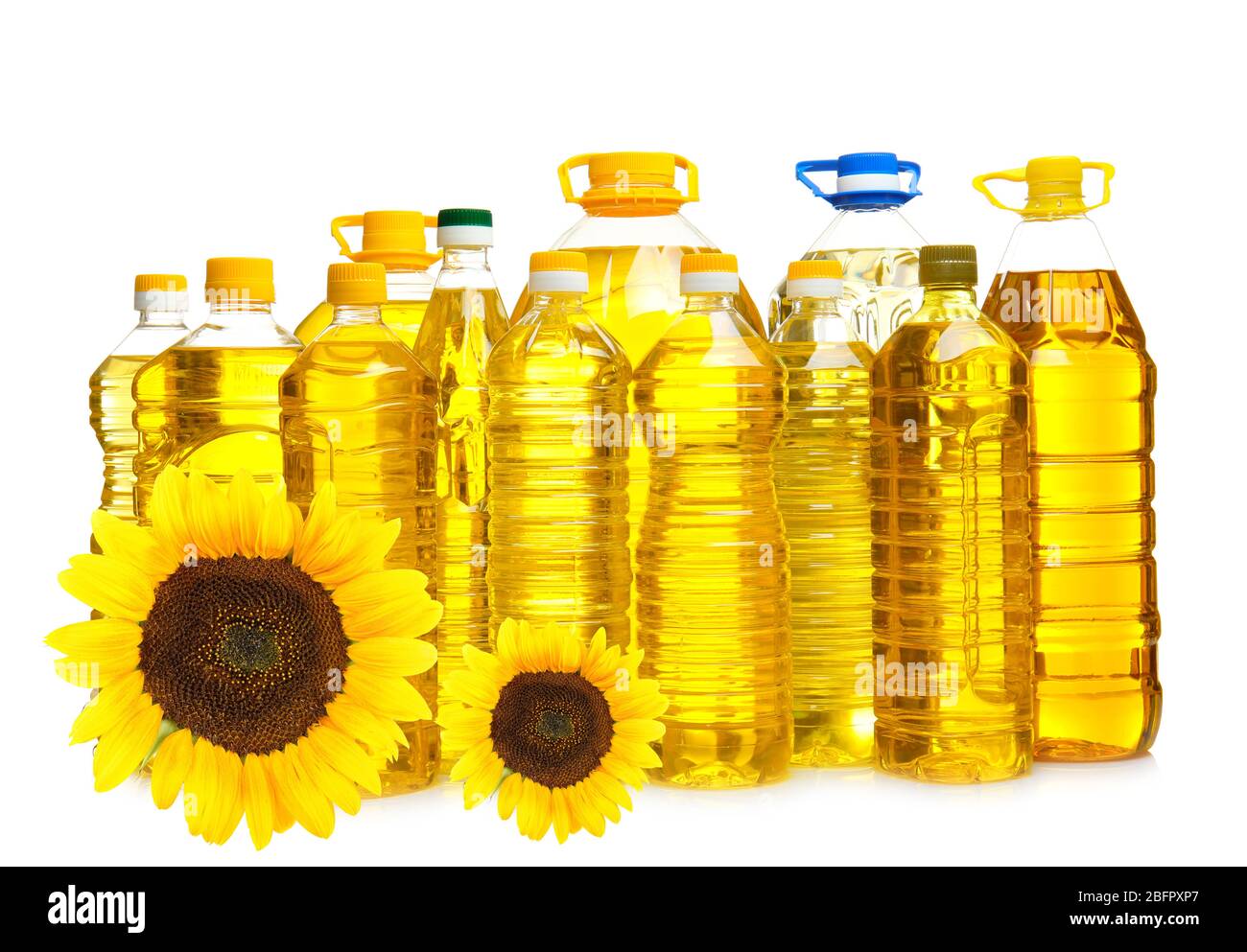 Bottles of cooking oil with sunflowers on white background Stock Photo ...