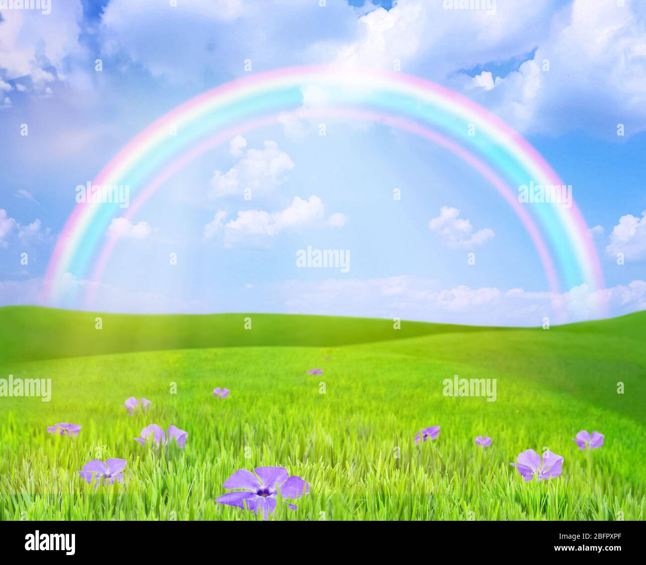 Periwinkle flower colors hi-res stock photography and images - Alamy