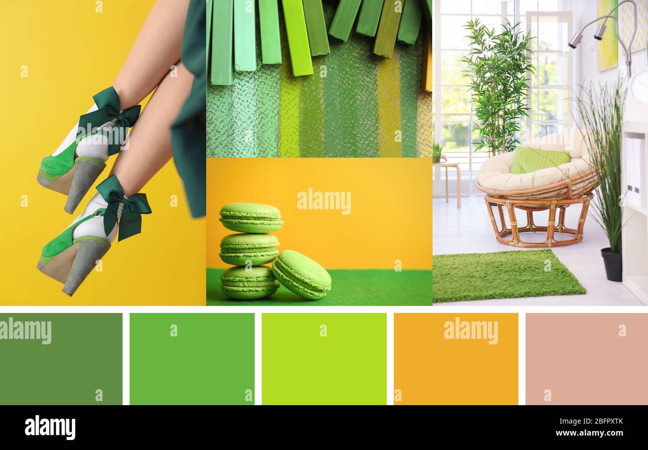 Stylish collage with green color palette Stock Photo - Alamy