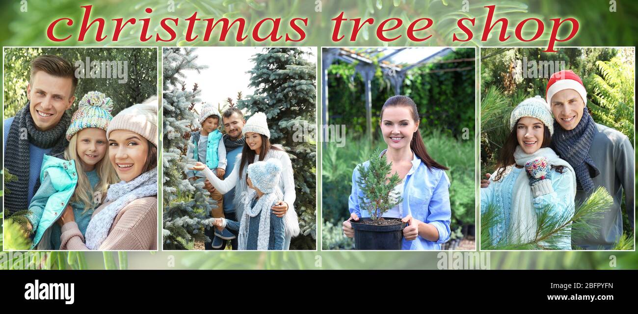 Collage with people at Christmas tree market Stock Photo - Alamy