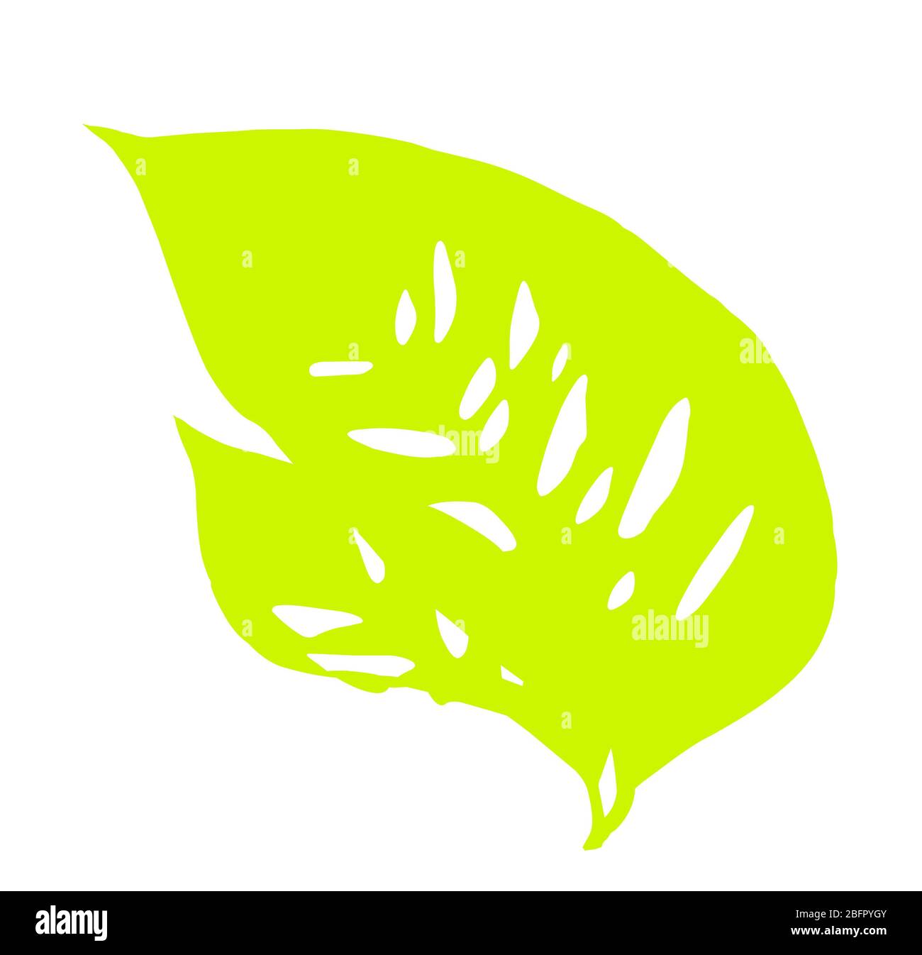 Green tropical leaves shadow Cut Out Stock Images & Pictures - Alamy