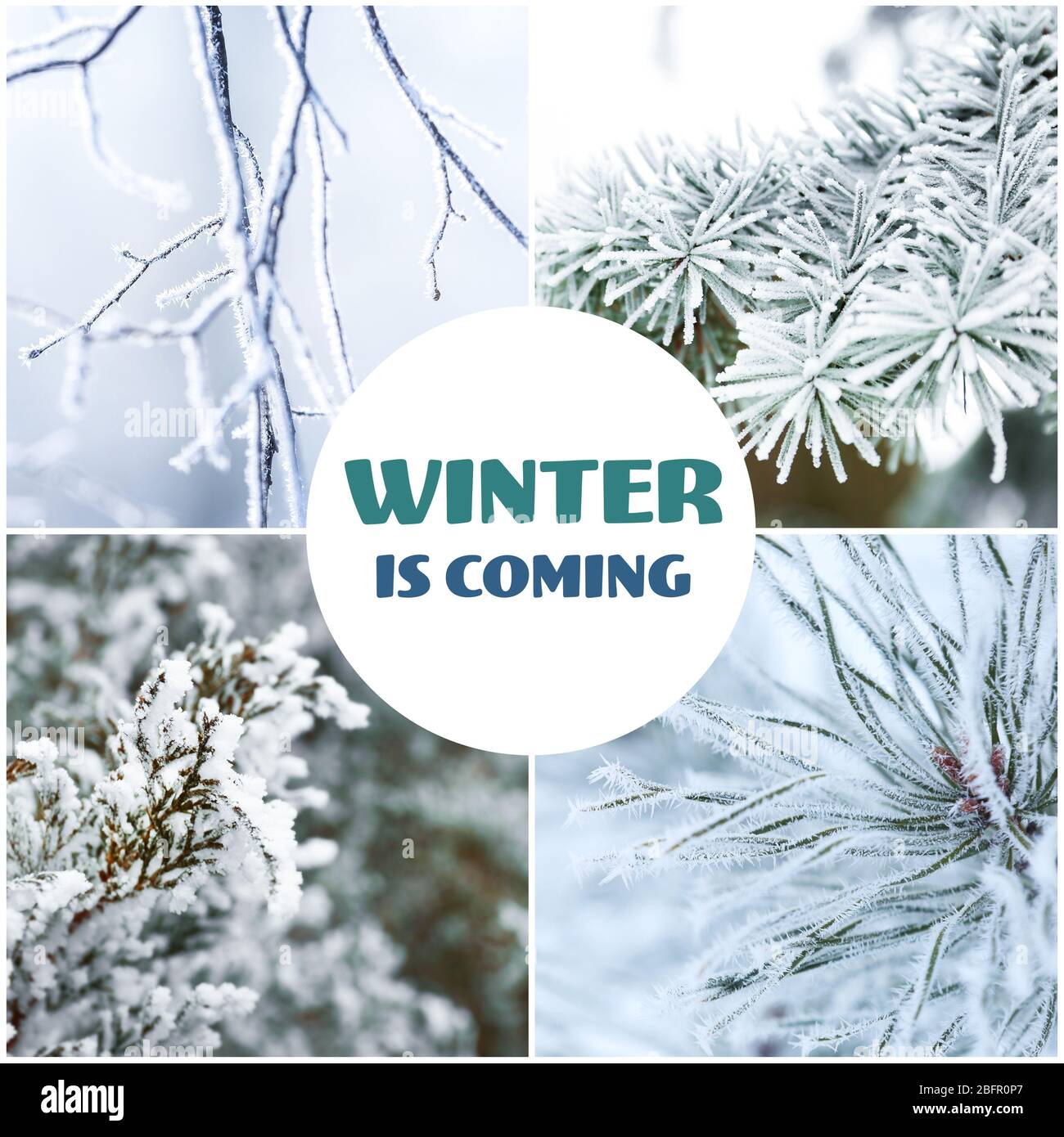 Collage with frozen tree branches and text WINTER IS COMING Stock Photo ...
