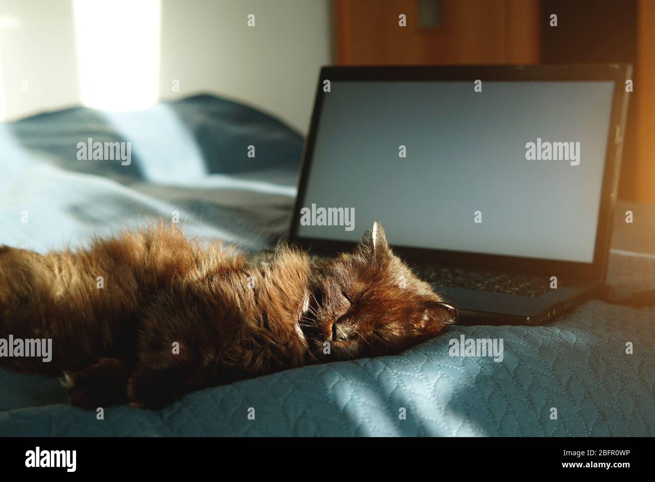 Sleeping at work funny hi-res stock photography and images - Alamy