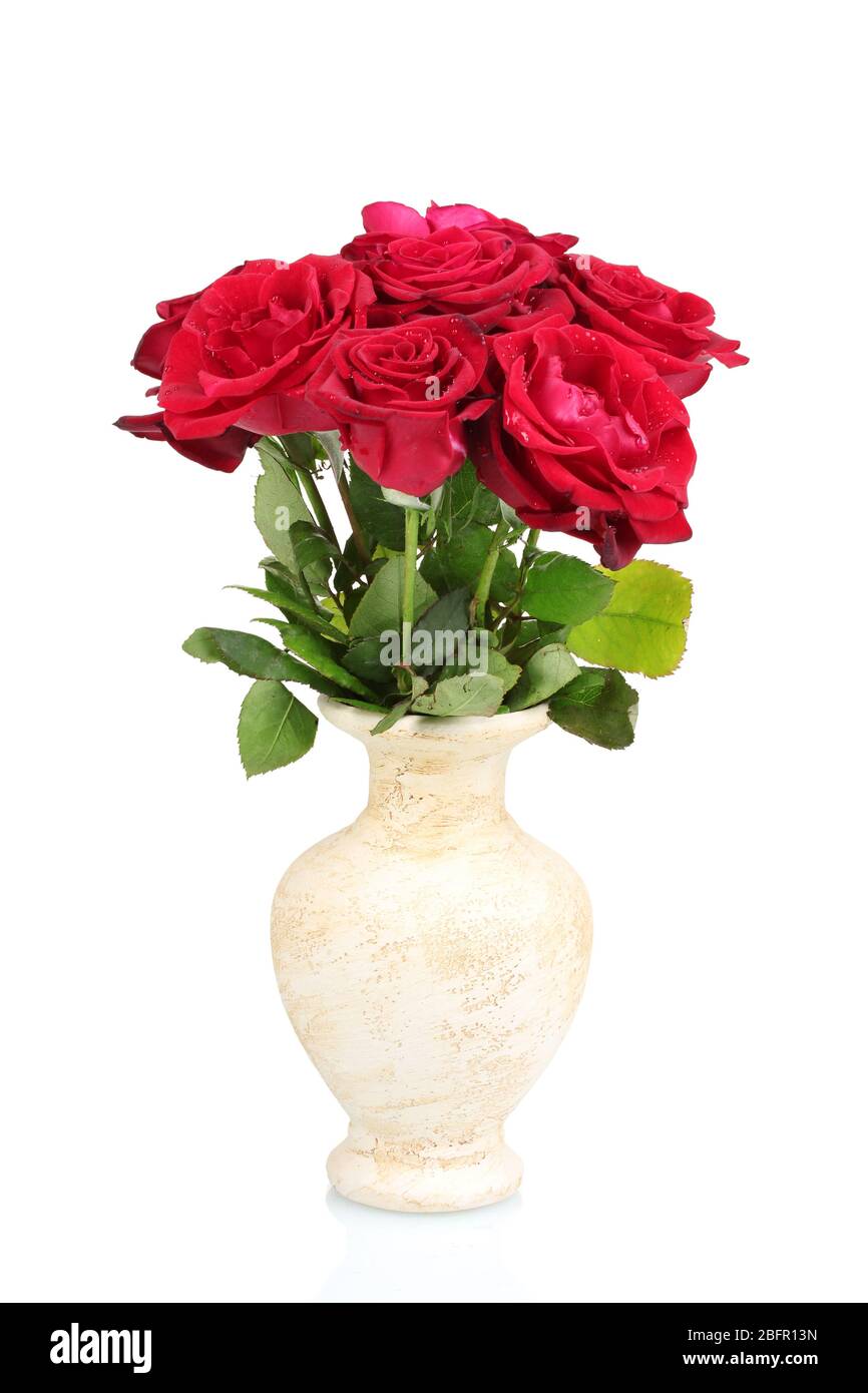 Beautiful red roses in a vase isolated on white Stock Photo - Alamy