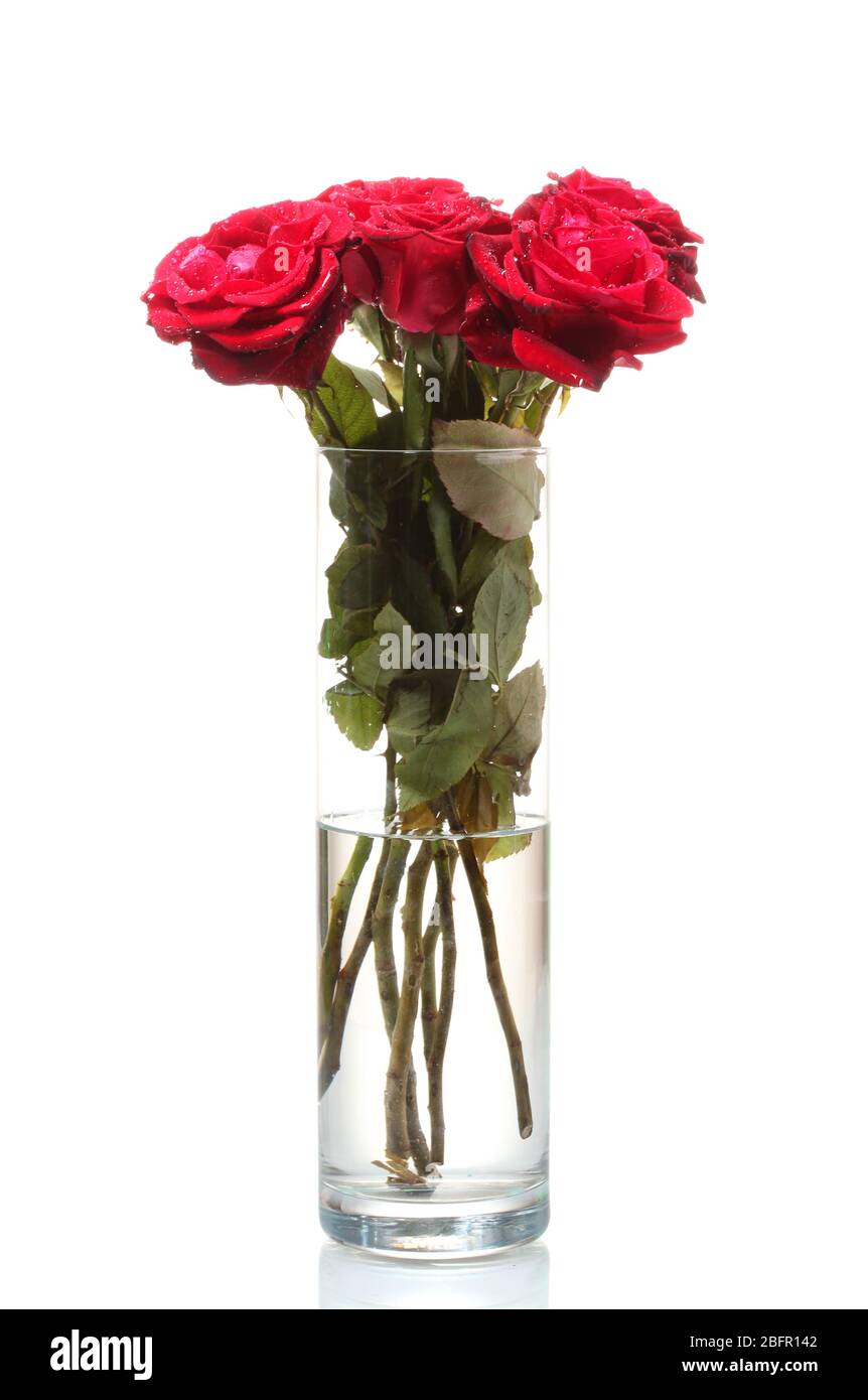 Beautiful red roses in a vase isolated on white Stock Photo - Alamy