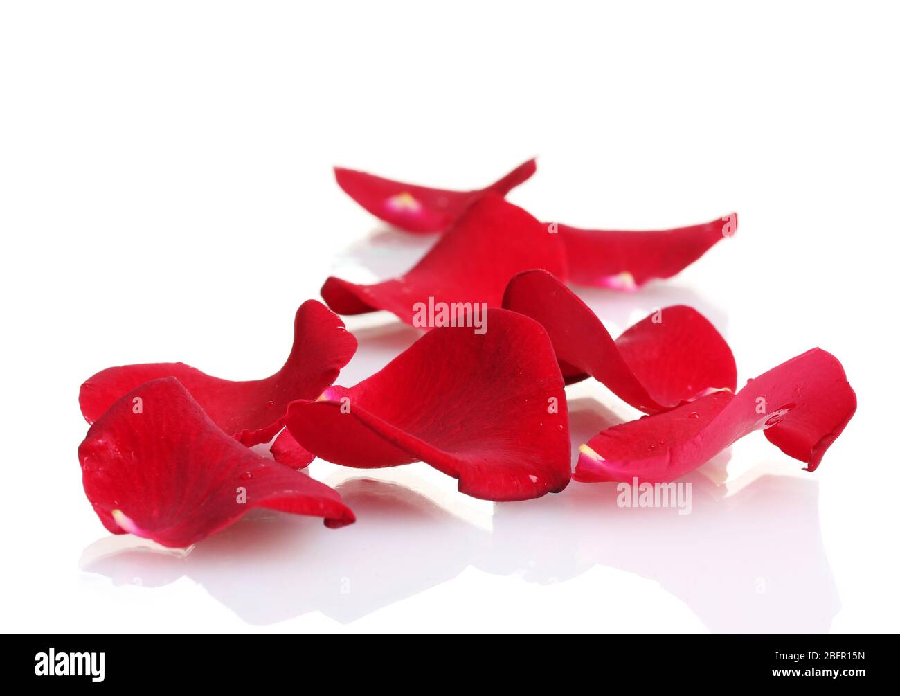 beautiful petals of red roses isolated on white Stock Photo - Alamy