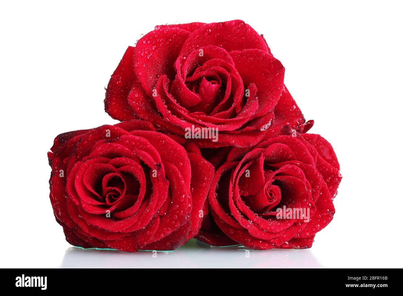 three beautiful red roses isolated on white Stock Photo - Alamy