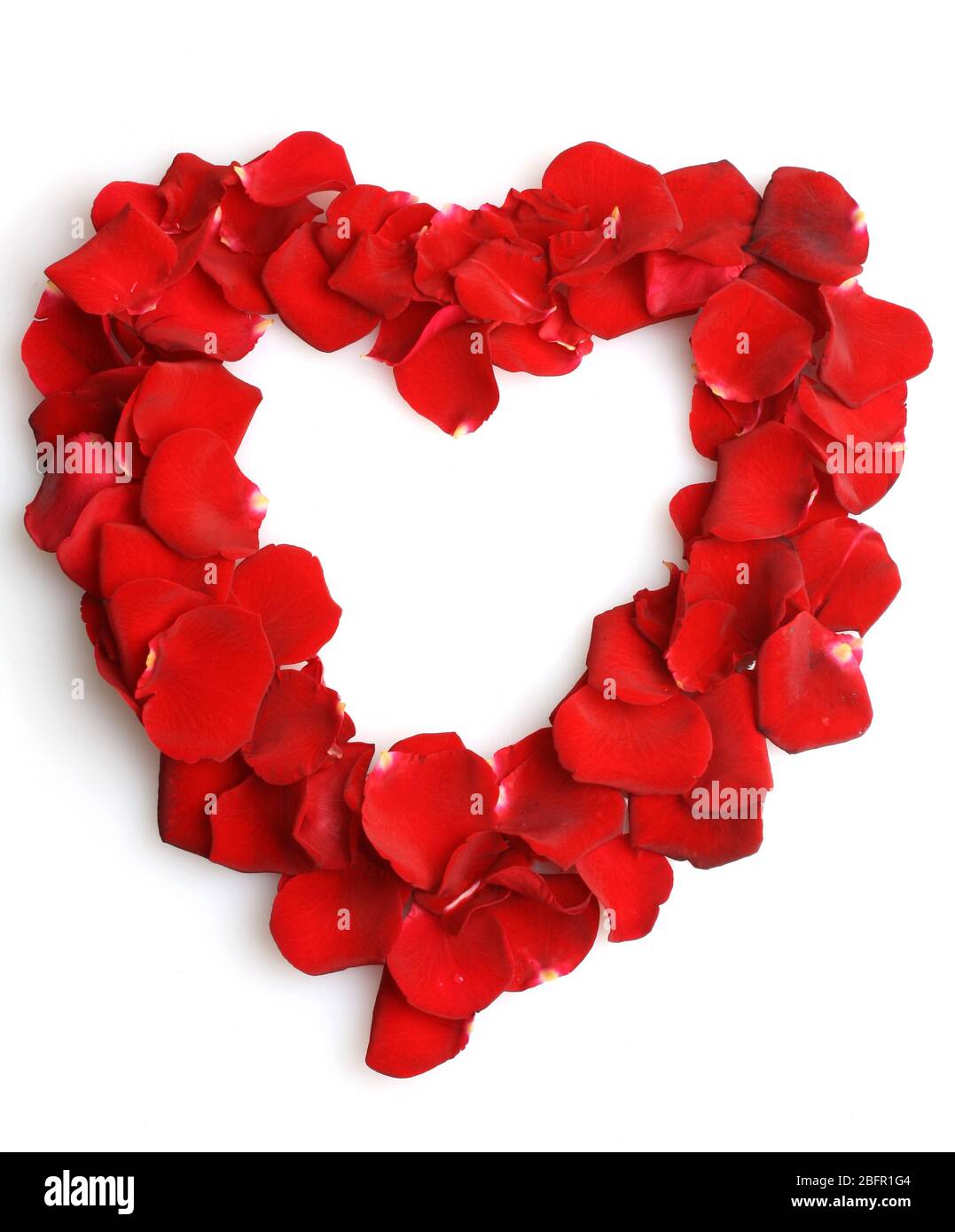 beautiful heart of red rose petals isolated on white Stock Photo - Alamy