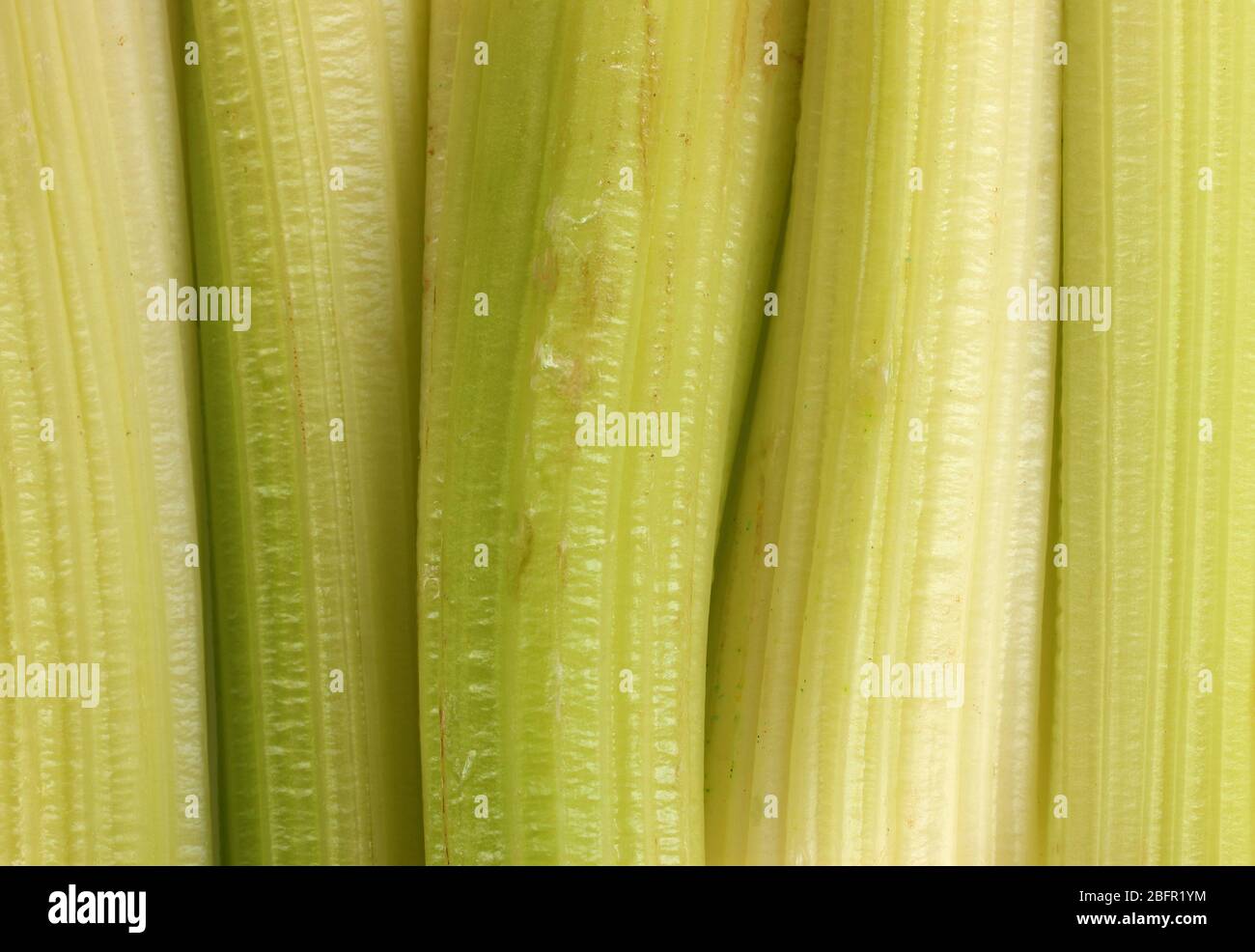 fresh green celery closeup Stock Photo - Alamy