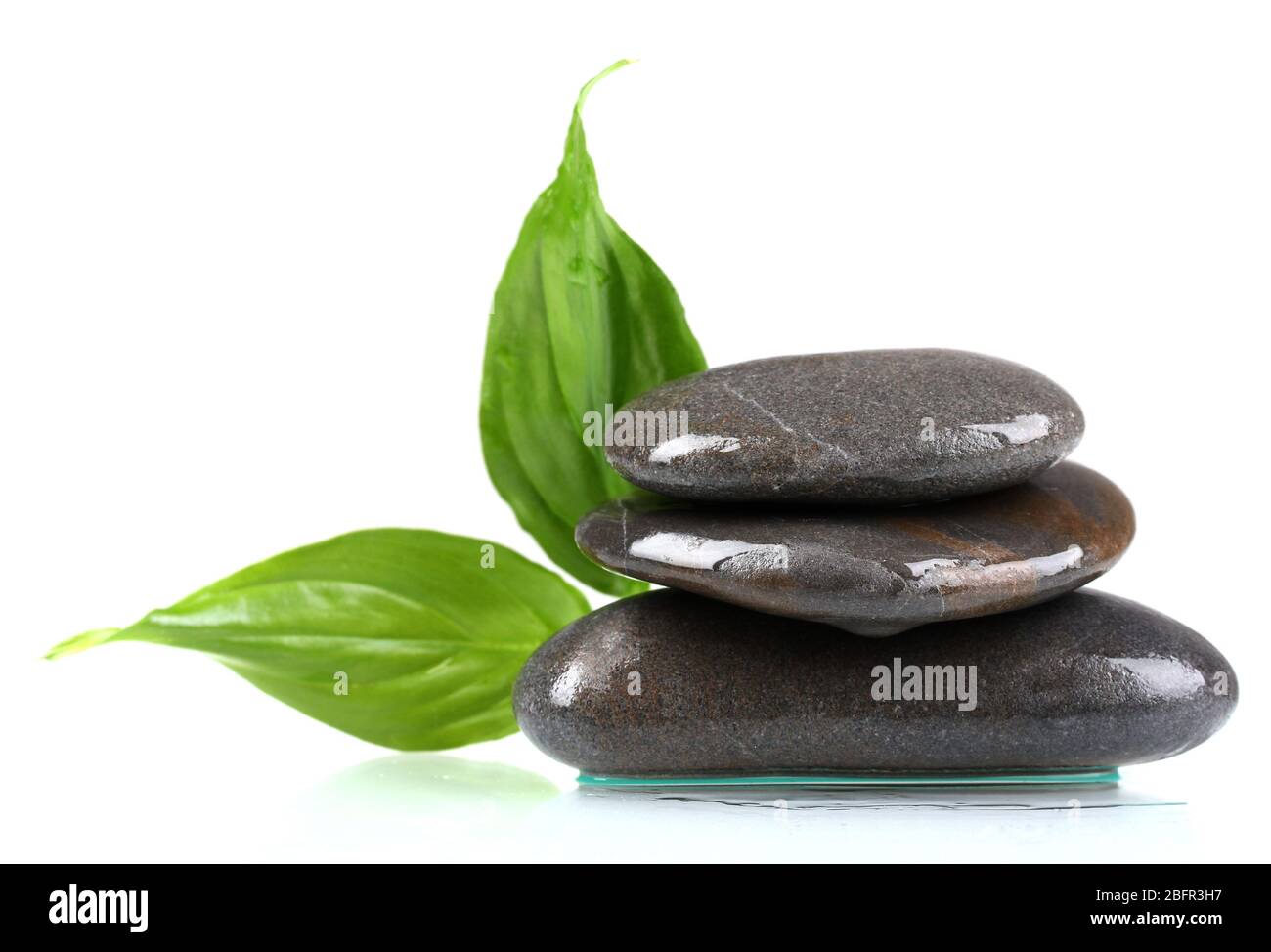 Stones with leaves Cut Out Stock Images & Pictures - Alamy