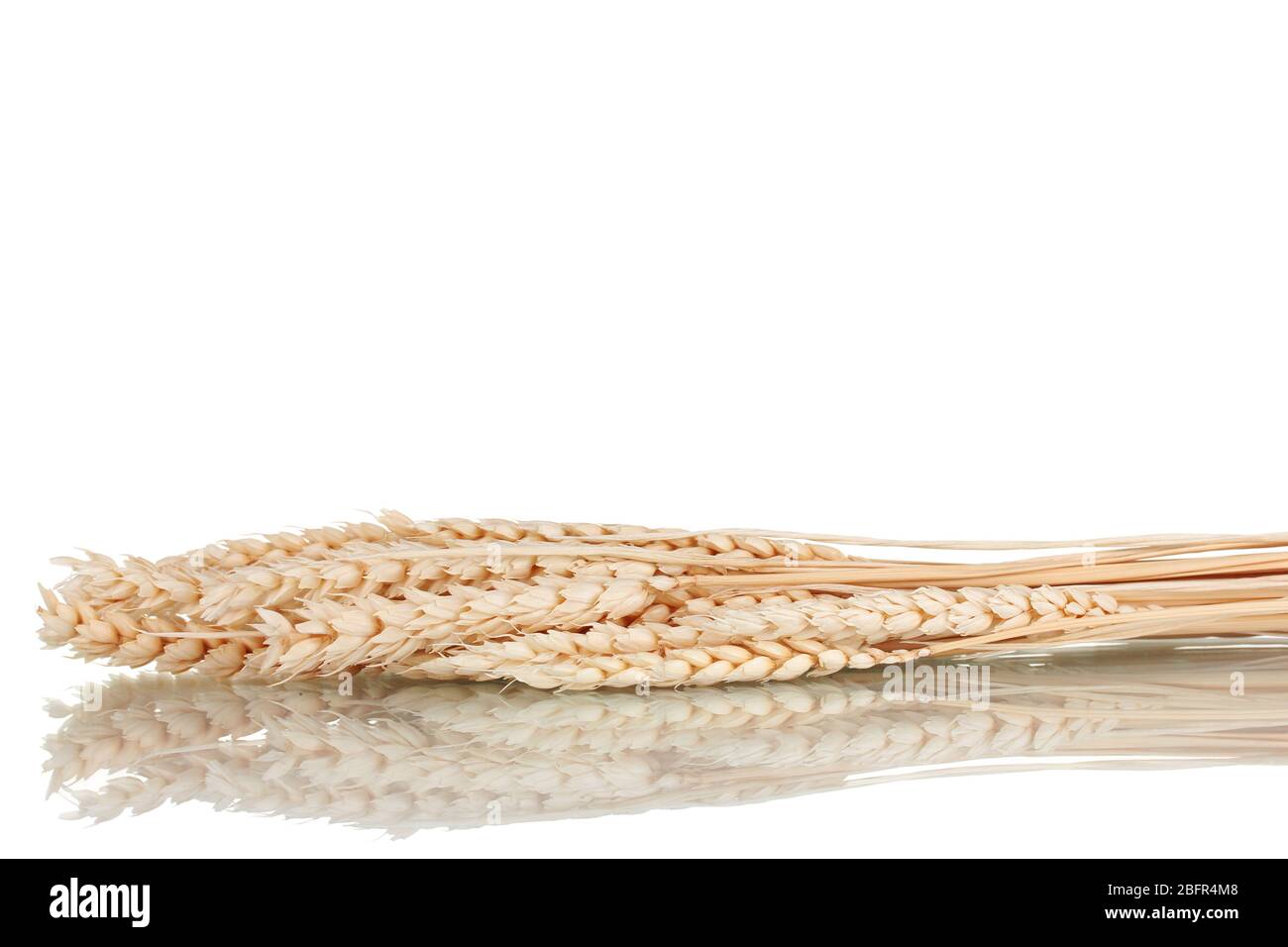 beautiful ears isolated on white Stock Photo - Alamy