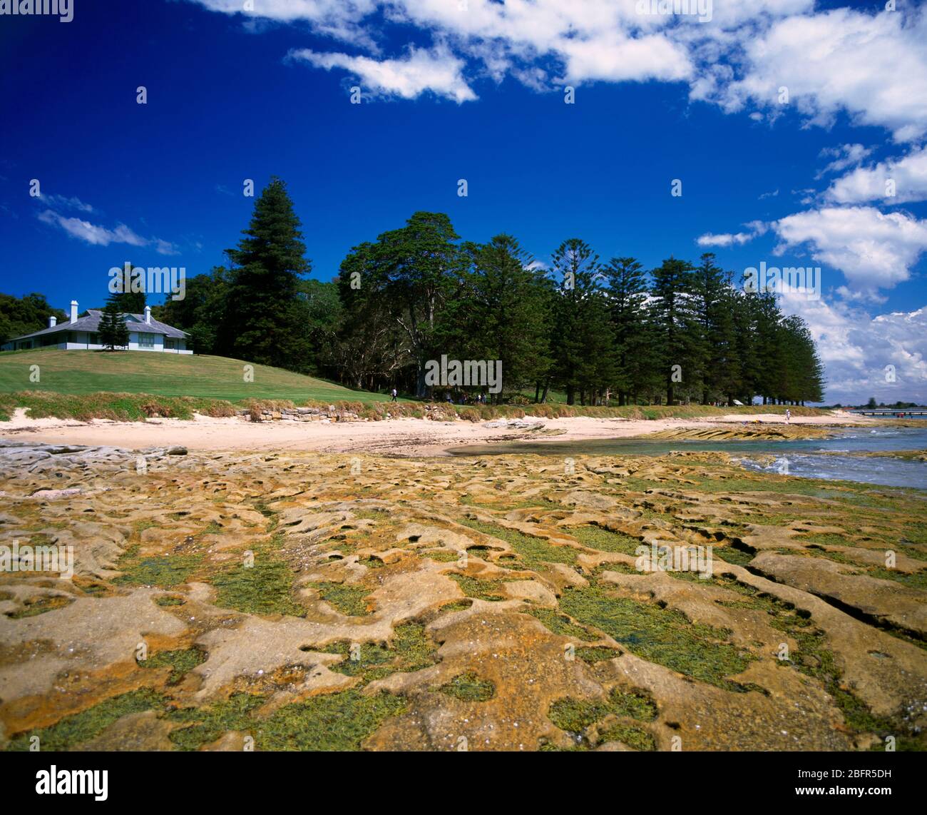 Botany bay sydney hi-res stock photography and images - Alamy