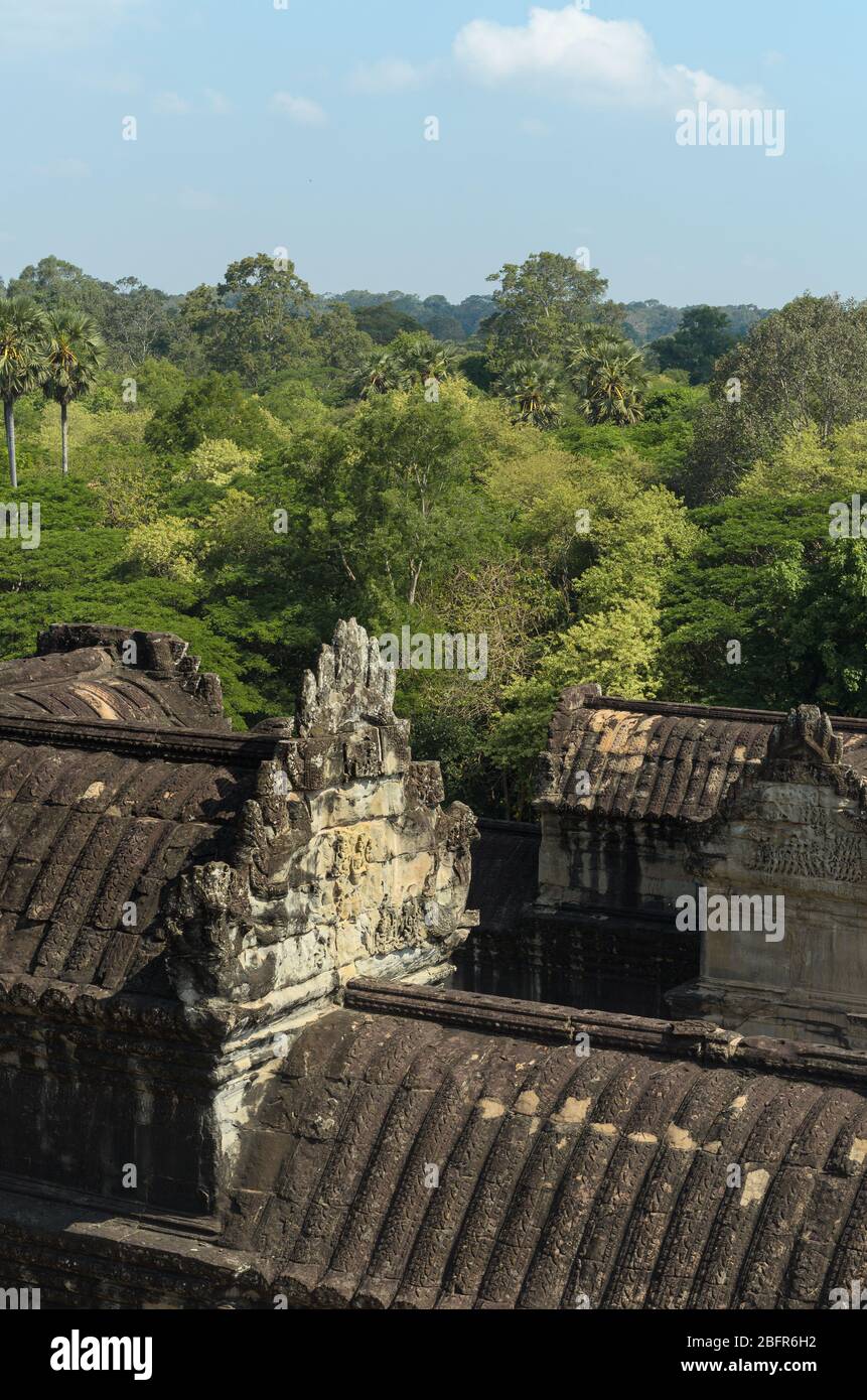 Stone roofs and facades of Angkor Wat main temple, set in a rainforest ...