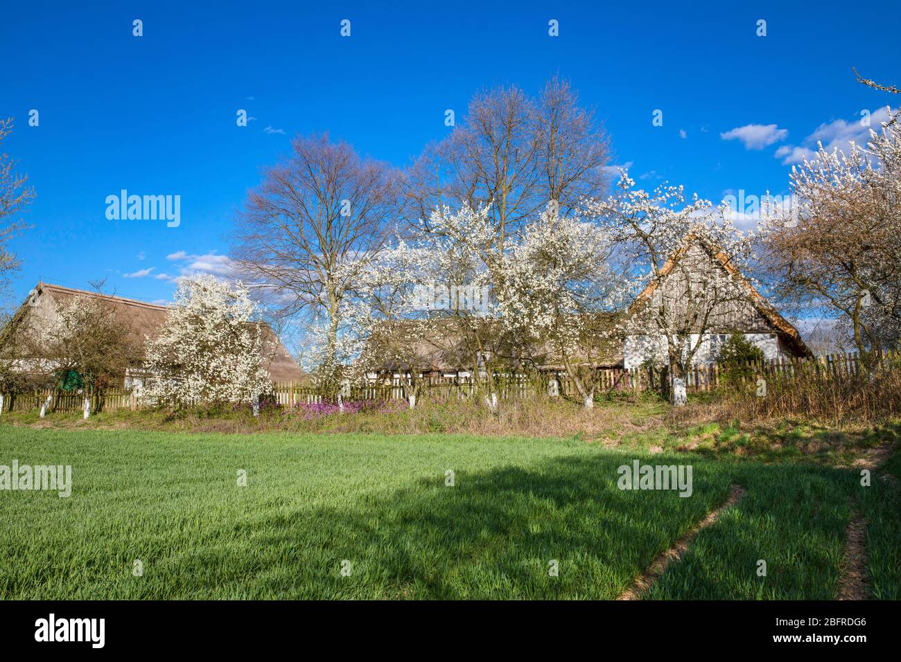 Traditional old polish countryside wooden houses and farmyards. Open ...