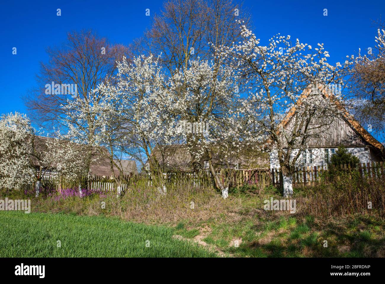 Traditional old polish countryside wooden houses and farmyards. Open ...