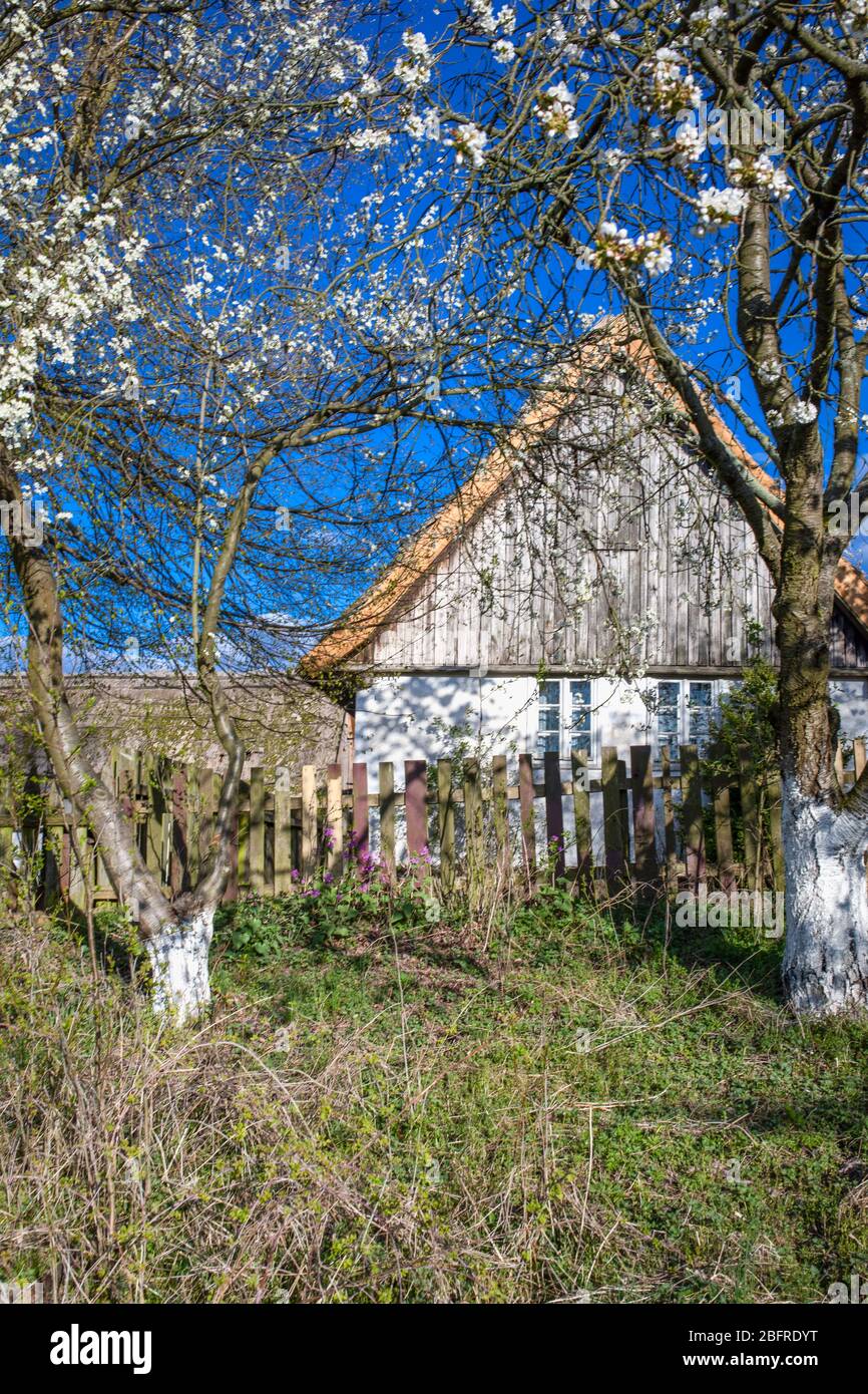 Traditional old polish countryside wooden houses and farmyards. Open ...