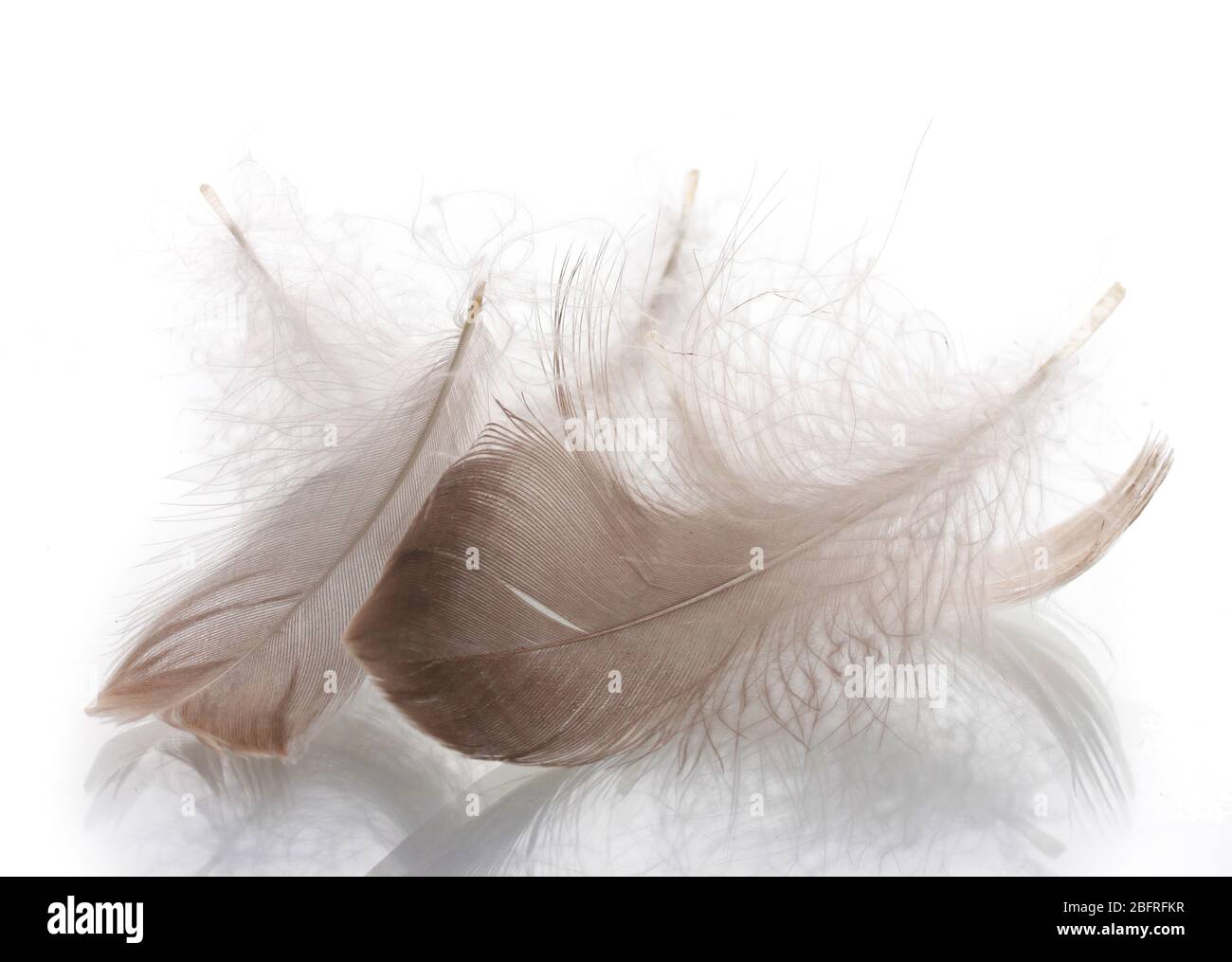 Effortless flow hi-res stock photography and images - Alamy