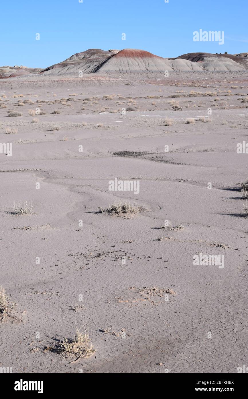 Arizona eco hi-res stock photography and images - Alamy