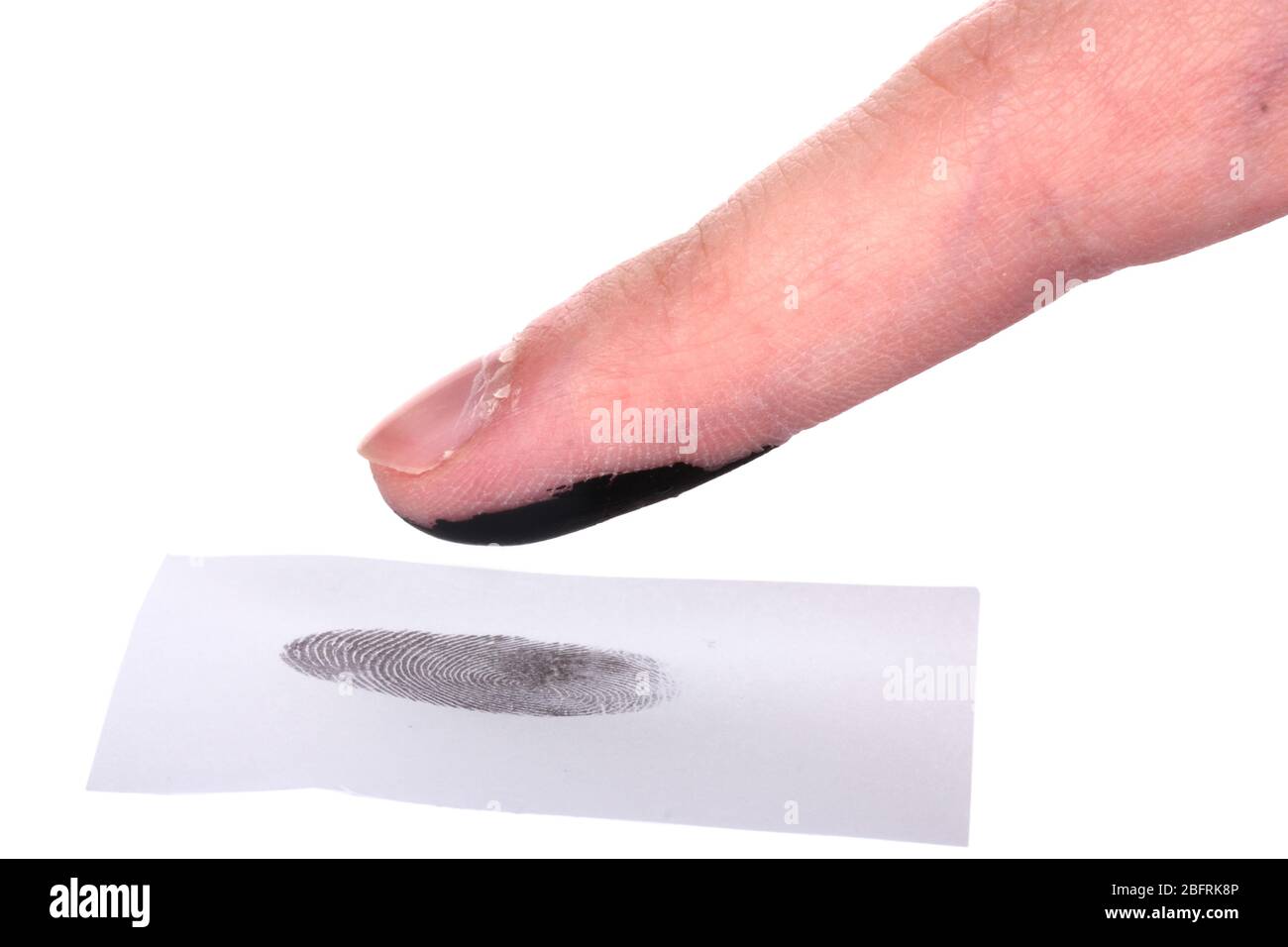 Fingerprint isolated on white Stock Photo - Alamy