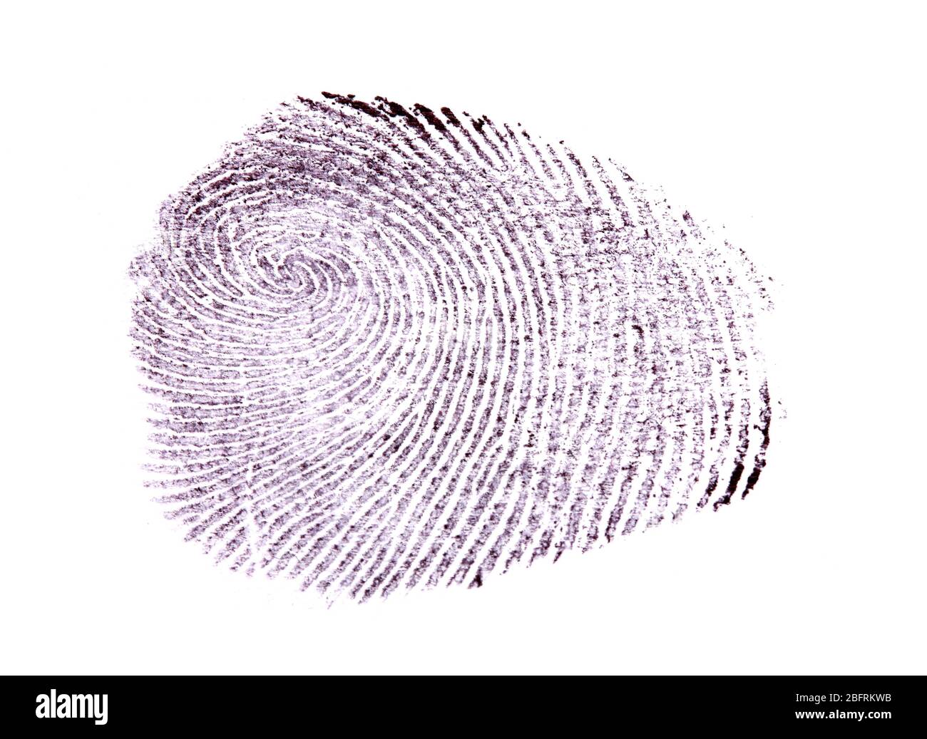 Fingerprint isolated on white Stock Photo - Alamy