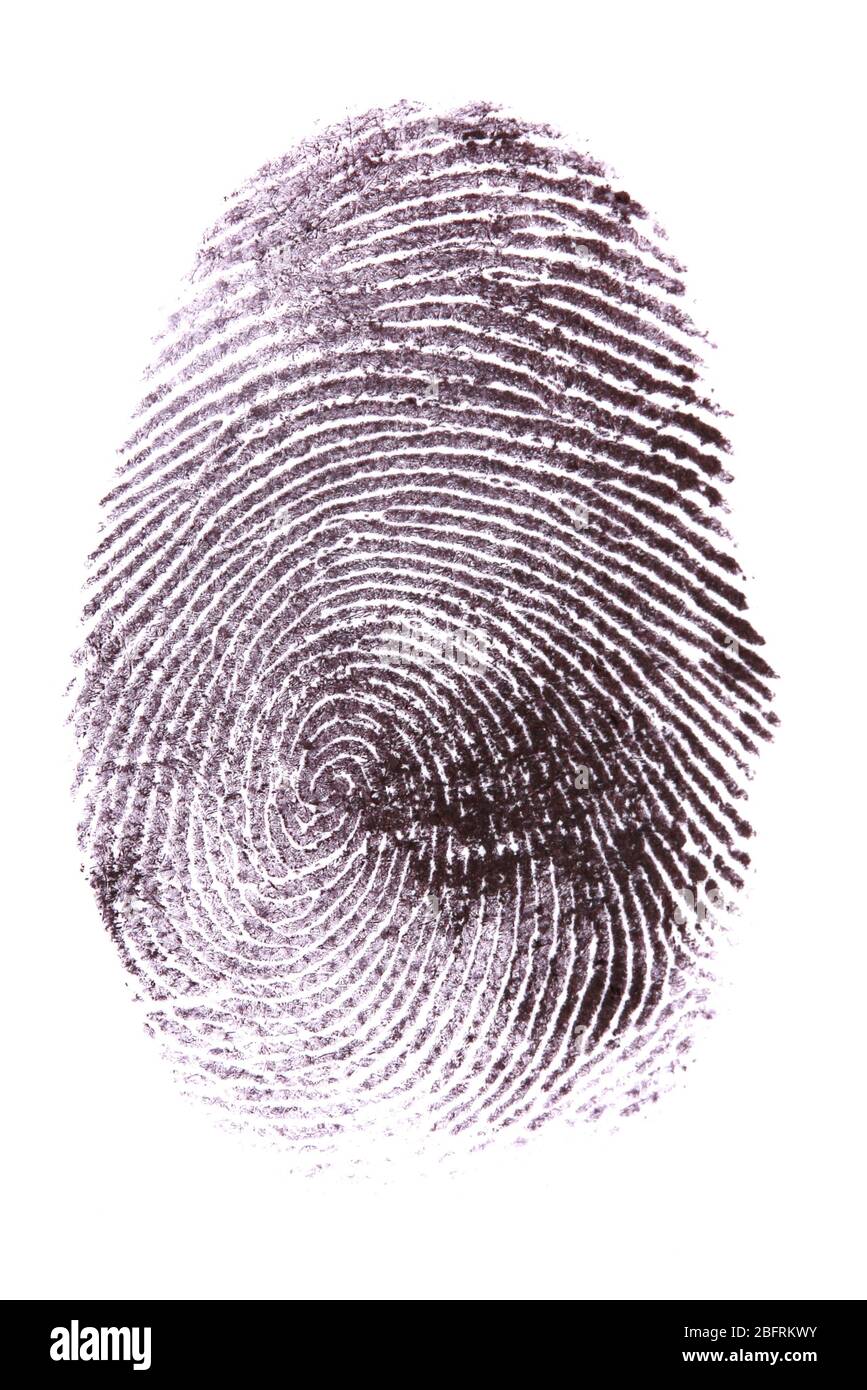 Fingerprint isolated on white Stock Photo - Alamy