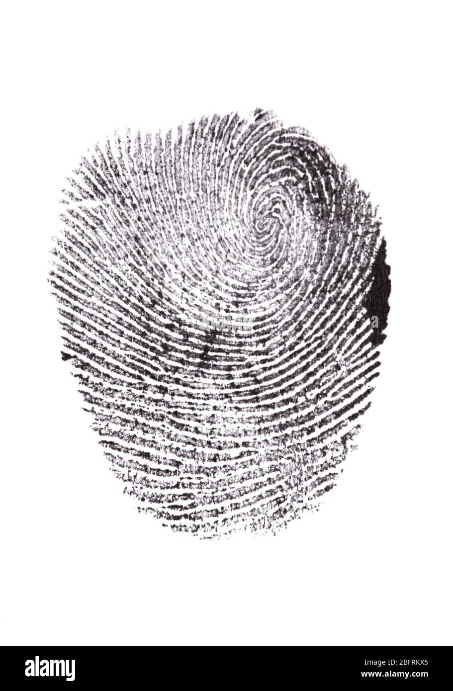 Fingerprint isolated on white Stock Photo - Alamy