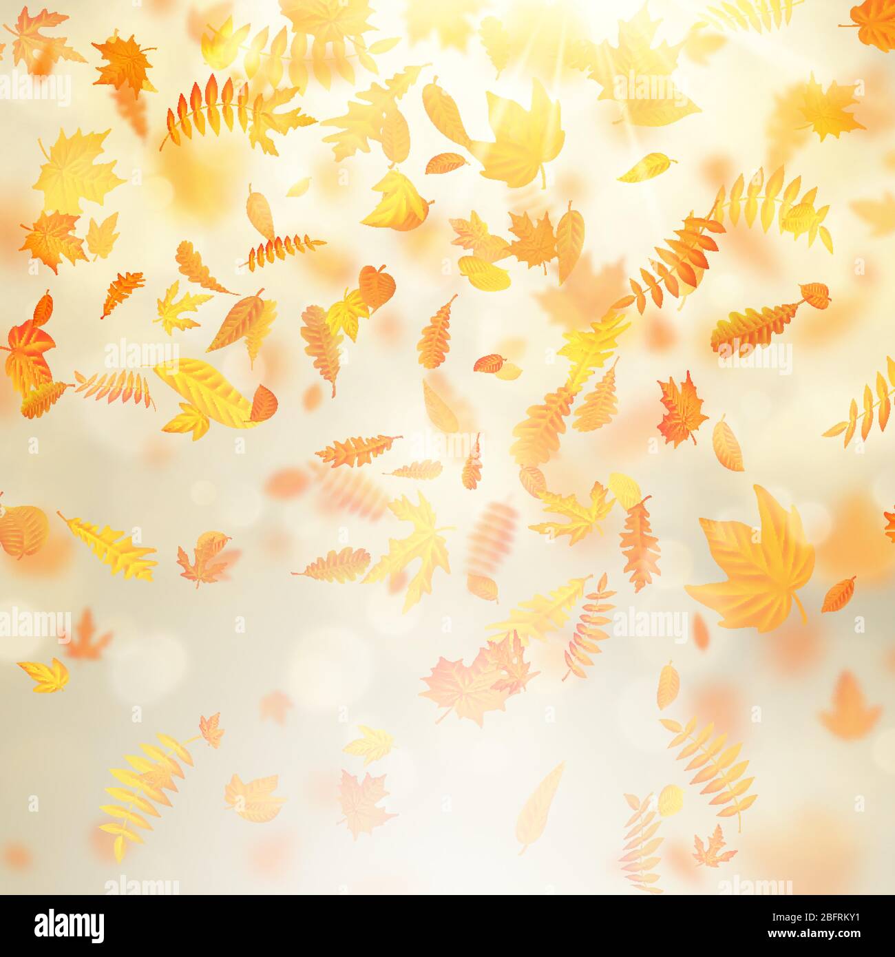 Beautiful autumn background with maple autumn leaves and delicate sun ...