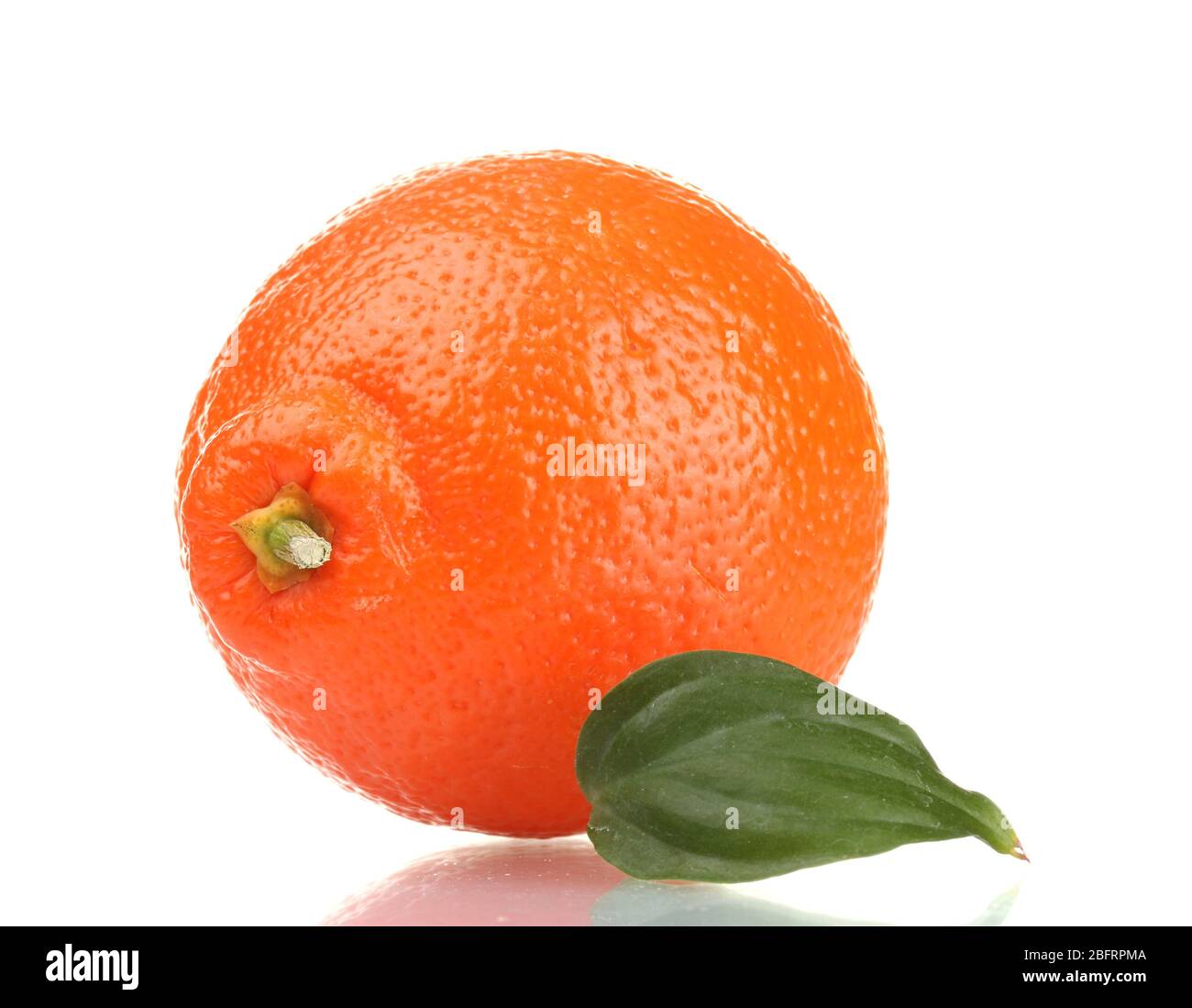 mineola fruit with leaf isolated on white Stock Photo - Alamy