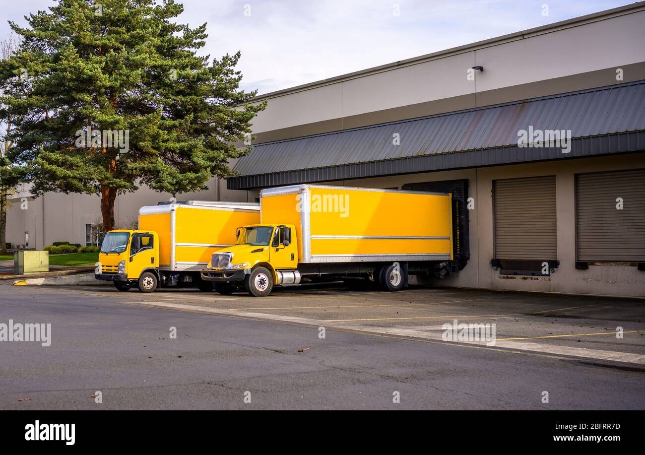 Two yellow different small rigs semi trucks with box trailers for fast ...